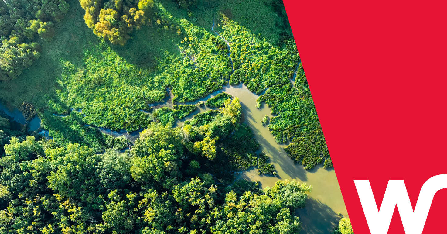 EPA Announces Major Actions on PFAS and the TSCA New Chemical Program ...